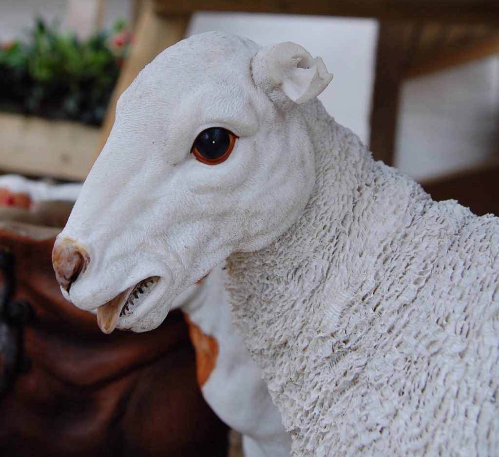 Gallery - Roberts Farm Shop